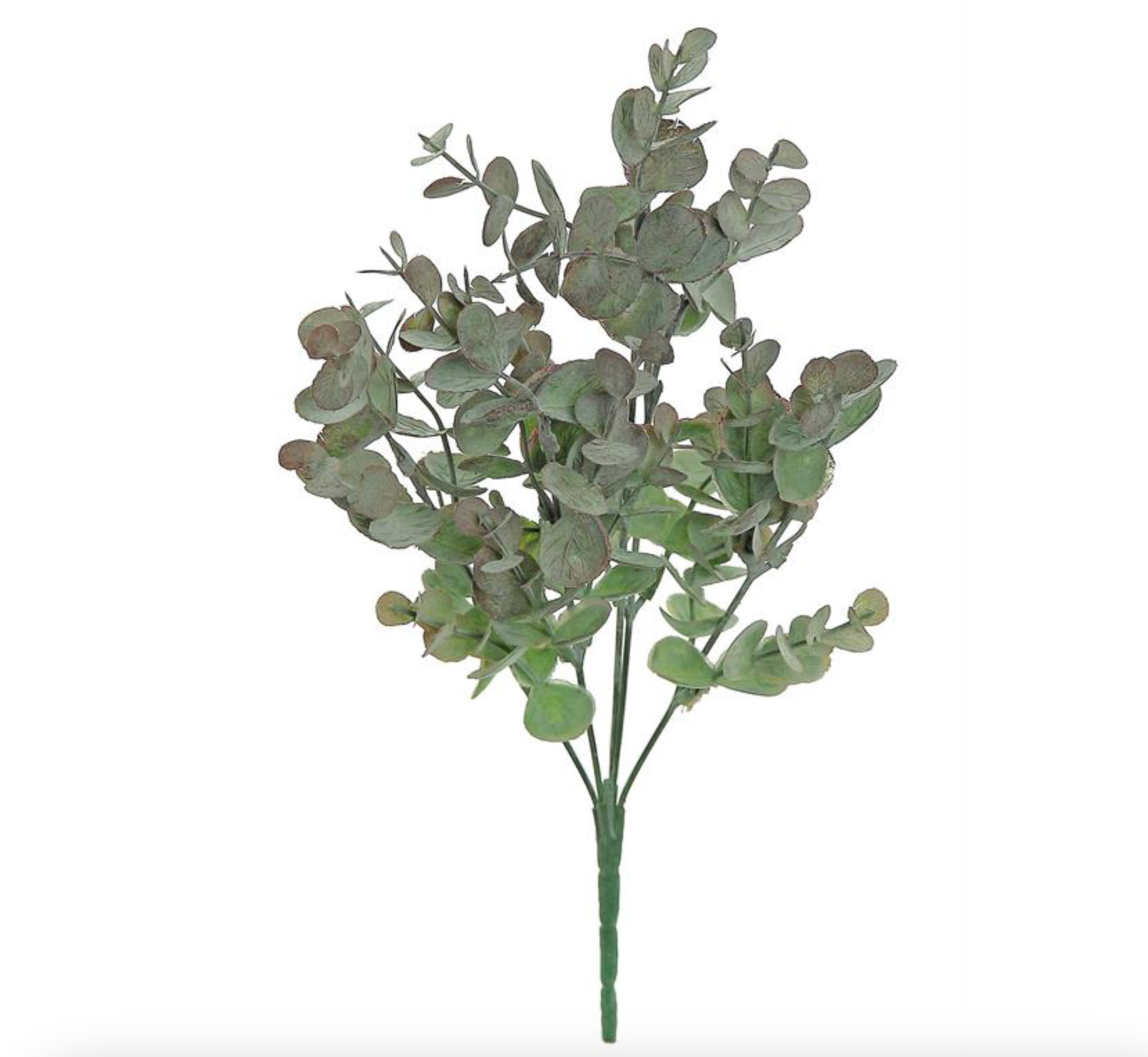 Eucalyptus Bush | river city relics