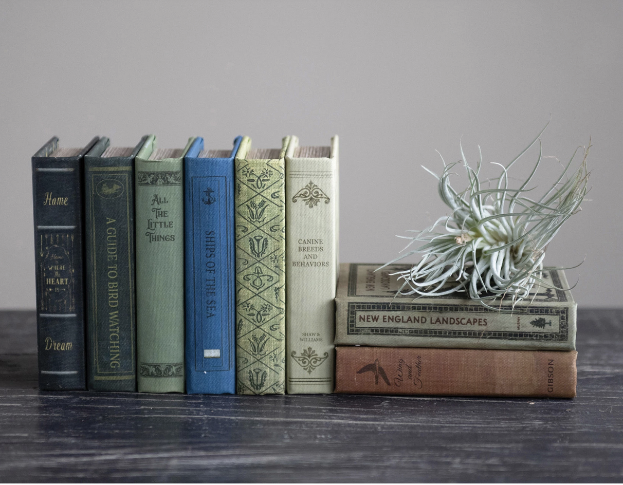 Canvas Books | river city relics